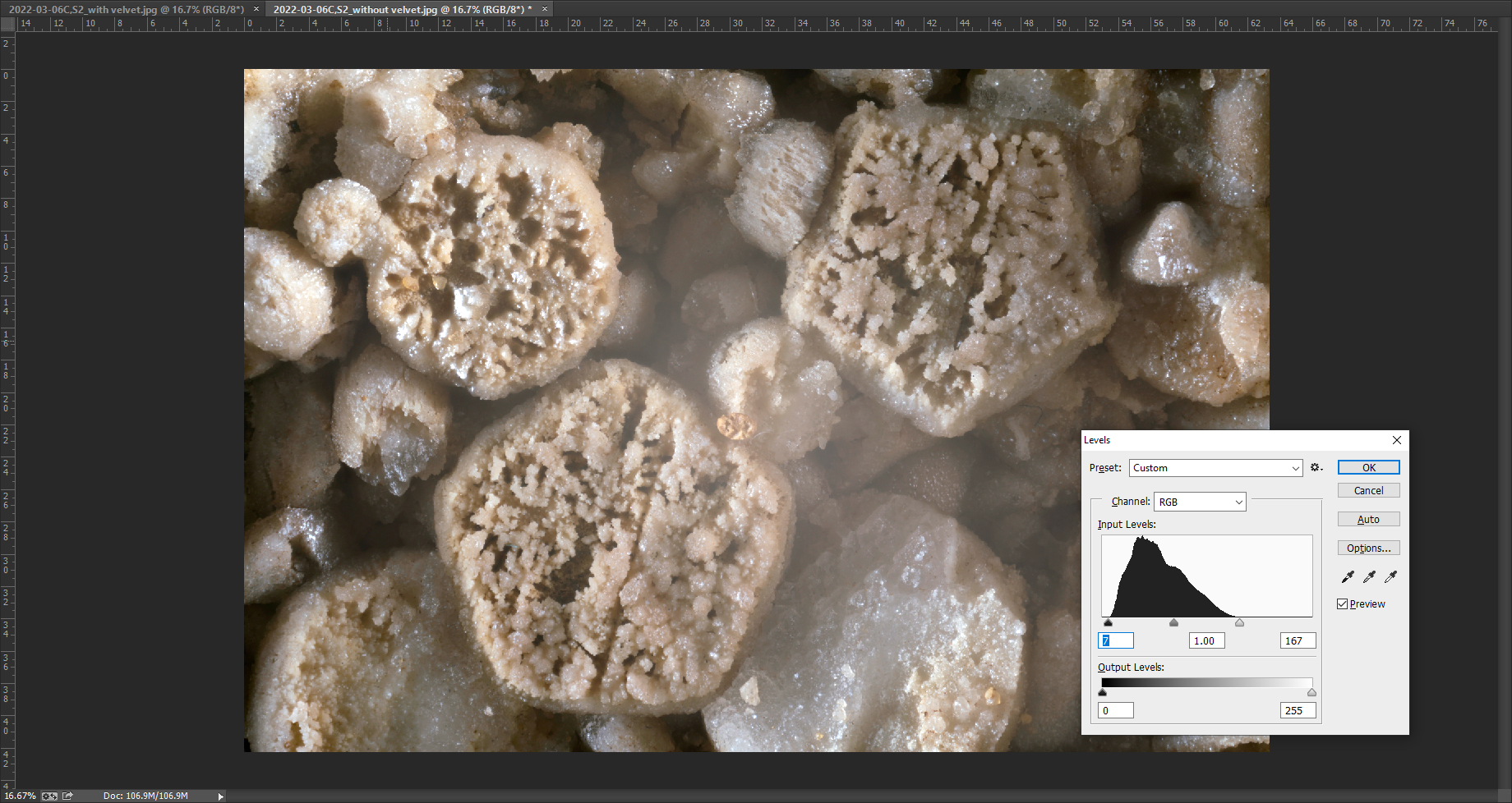 Flocking ! – Extreme macro and Paleontology